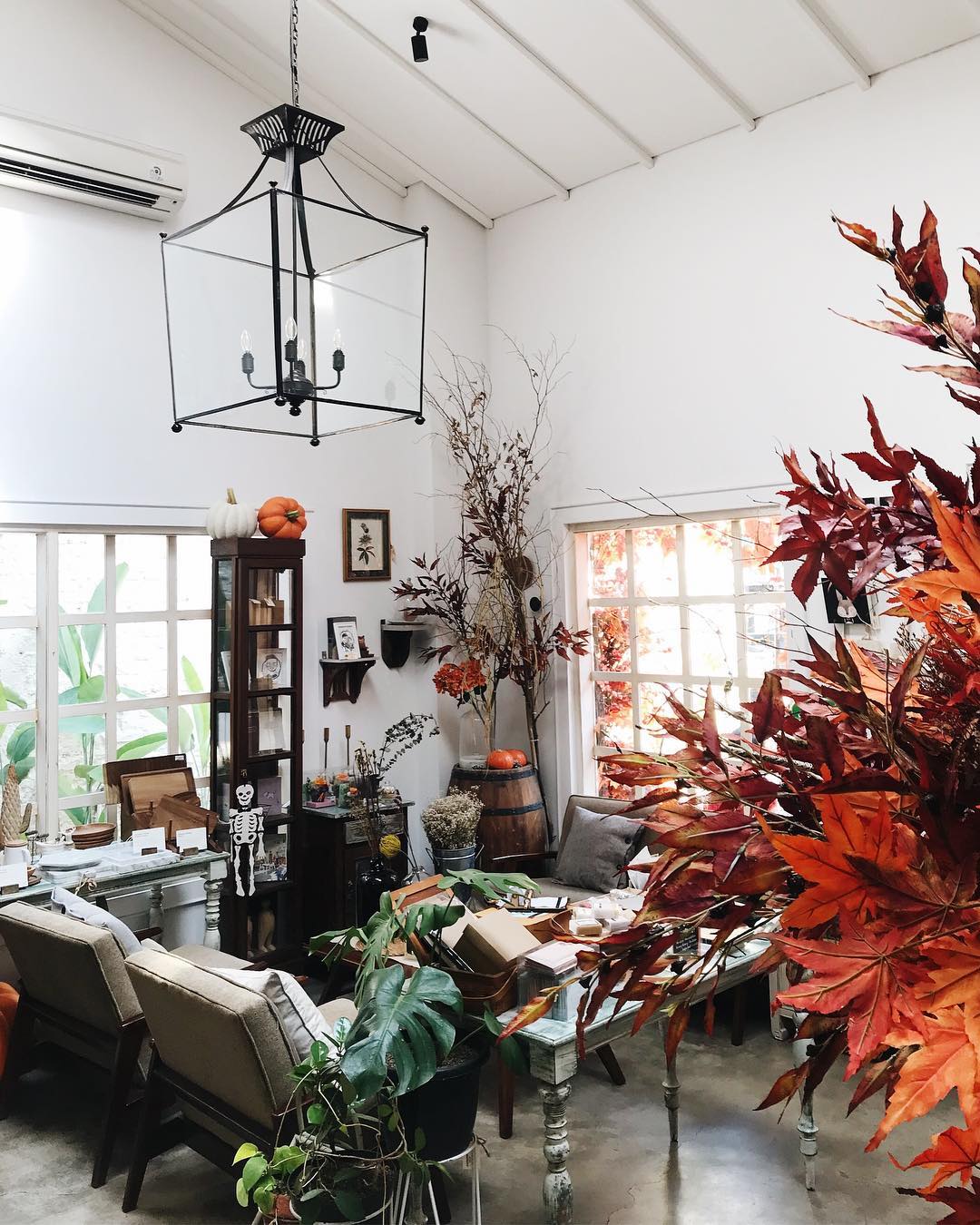 7 Restoran Tema Garden di Jakarta yang Sangat Instagramable