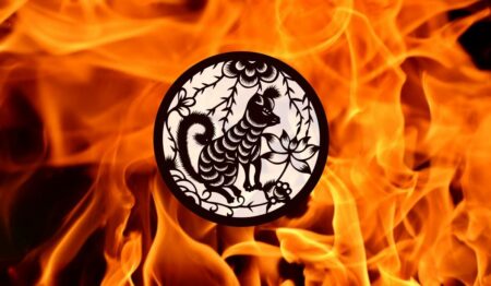 Ramalan Shio Anjing 2021 | Cek Hokimu di Tahun Kerbau Logam Ini!