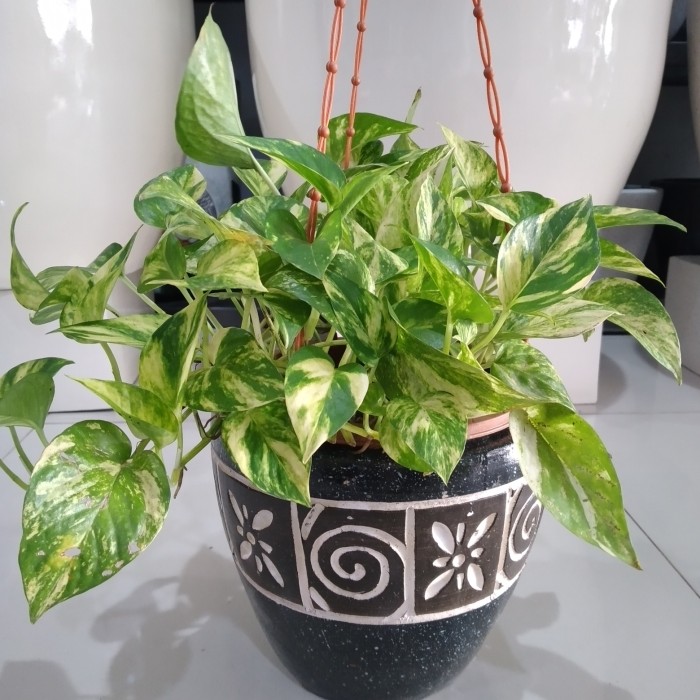 Sambut Hari Batik, 5 DIY Kerajinan Batik Ini Bisa Percantik Hiasan Rumah