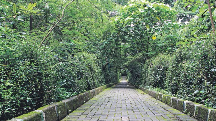 5 Tempat Wisata Alam di Jakarta yang Cocok untuk Akhir Pekan