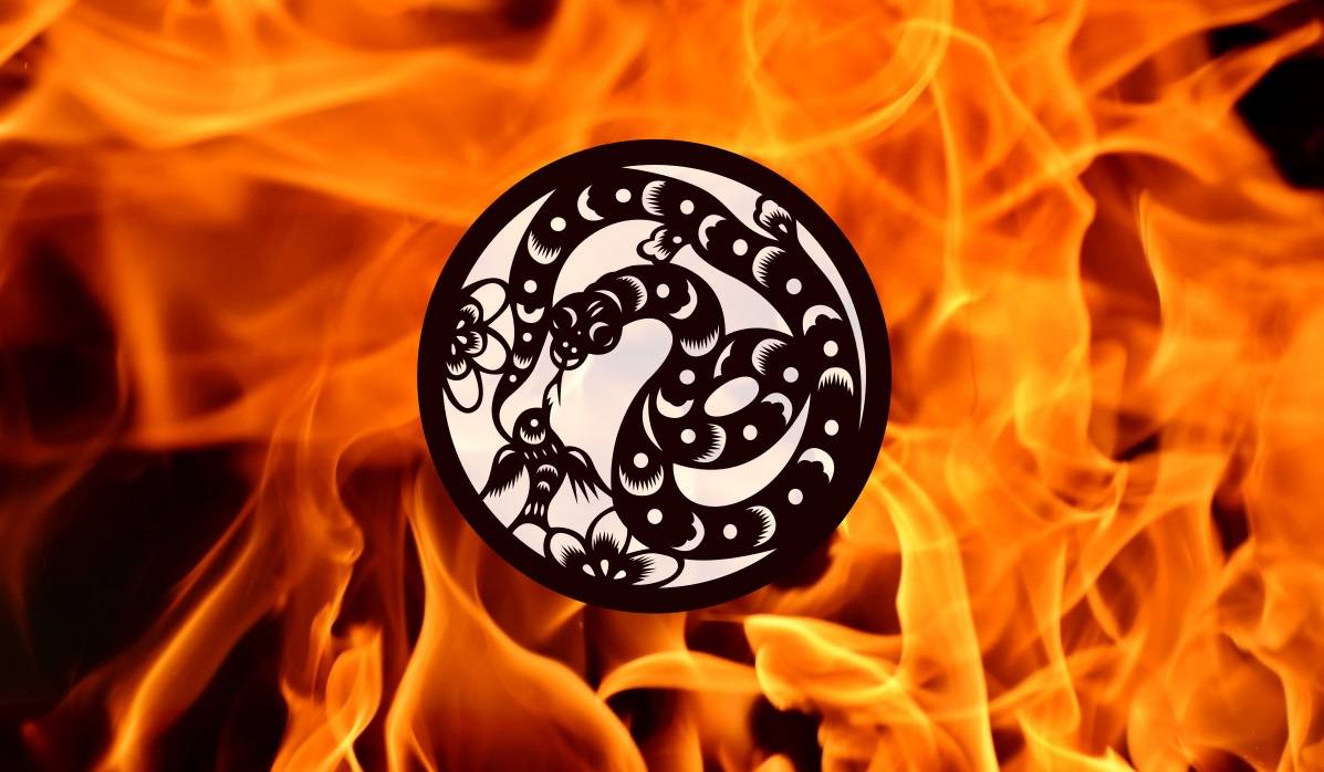 Ramalan Shio Ular di Tahun Macan Air 2022 | Ketahui Peruntunganmu!