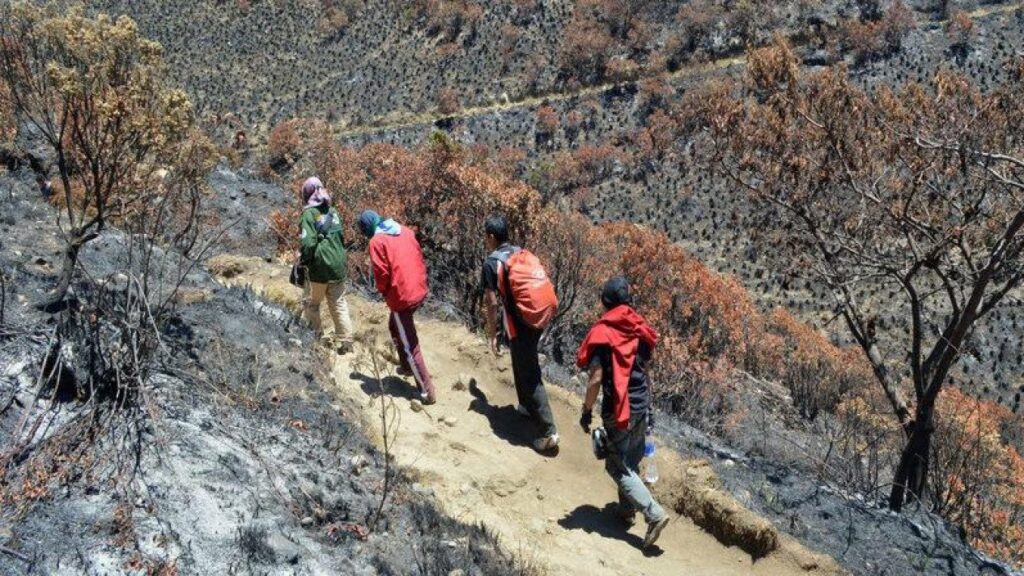 6 Mitos dan Cerita Mistis Gunung Lawu yang Bikin Bulu Kuduk Merinding 6 Mitos dan Cerita Mistis Gunung Lawu yang Bikin Bulu Kuduk Merinding