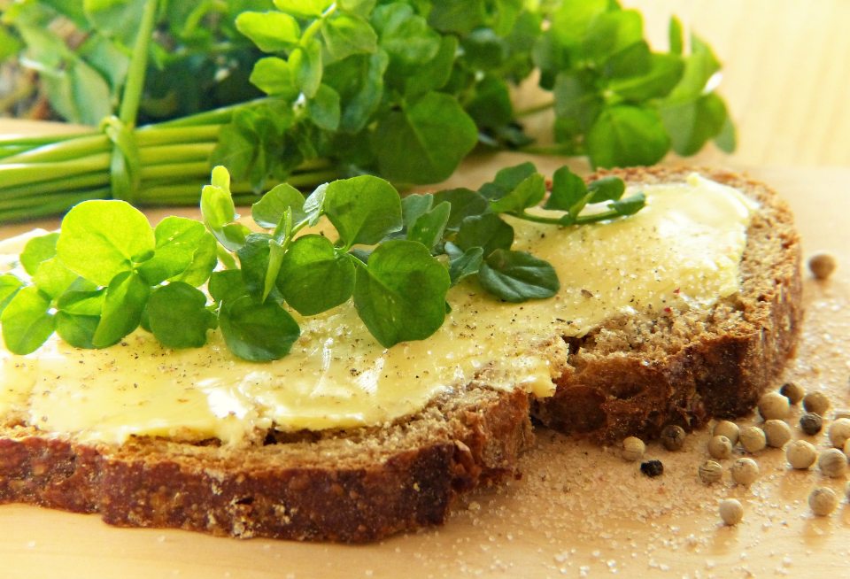 Pilih 13 Sayuran untuk Diet Ini, Mudah Ditemukan dan Enak!