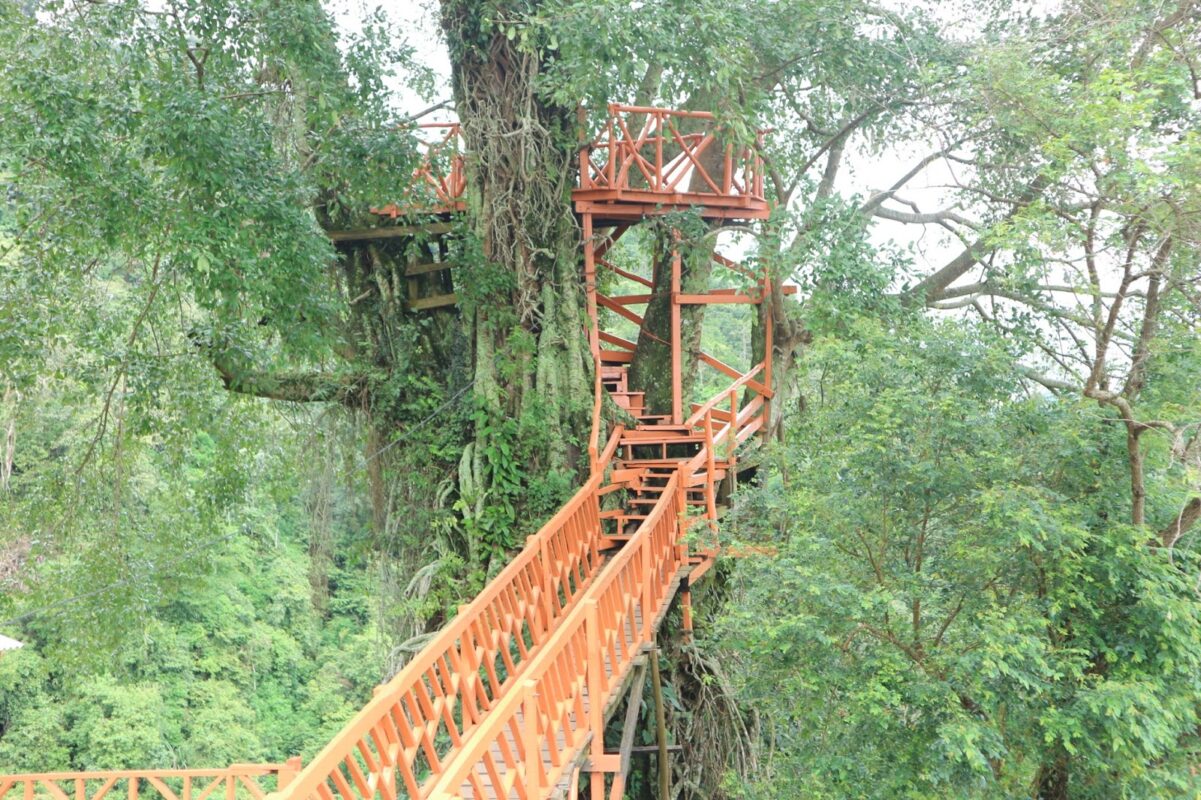 Yuk, Main ke Curug Ciherang di Bogor, Adem di Mata dan Hati!