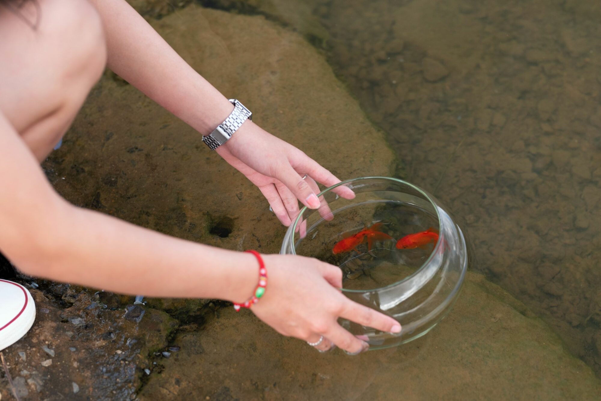 8 Cara Merawat Ikan di Akuarium untuk Hobi Aquascape Pemula
