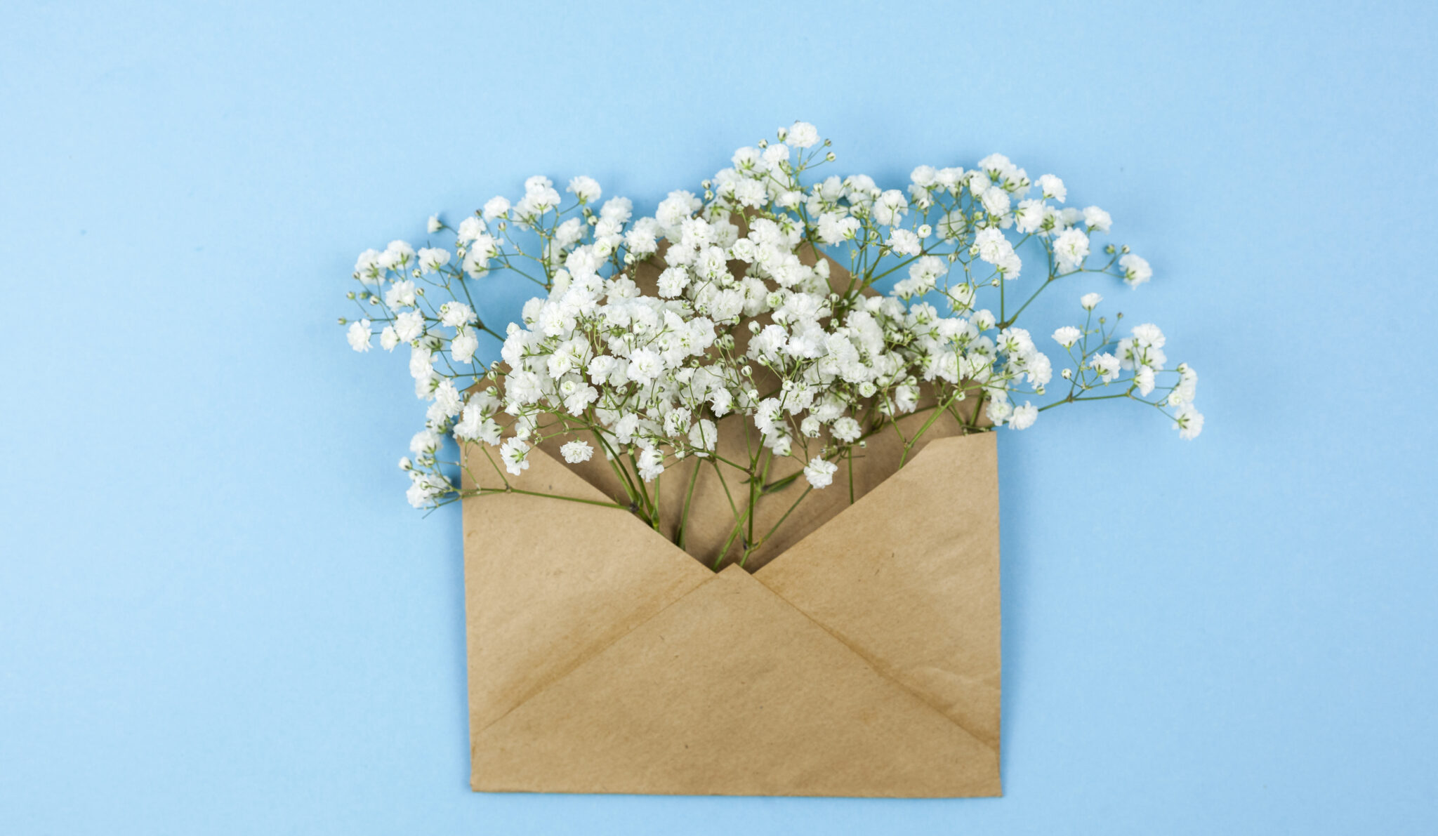 10 Bunga untuk Wisuda dan Maknanya, Jangan Sampai Salah Pilih Lagi!