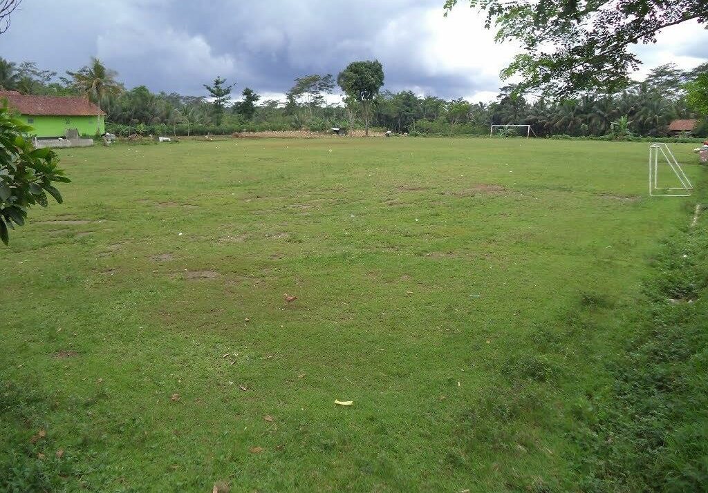 Tempat Belajar Mobil Ini Cocok Banget untuk Pemula | Yuk, Cek di Sini!