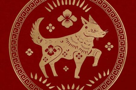 10 Shio Paling Beruntung Tahun 2023, Apakah Ada Shiomu? Cek di Sini!