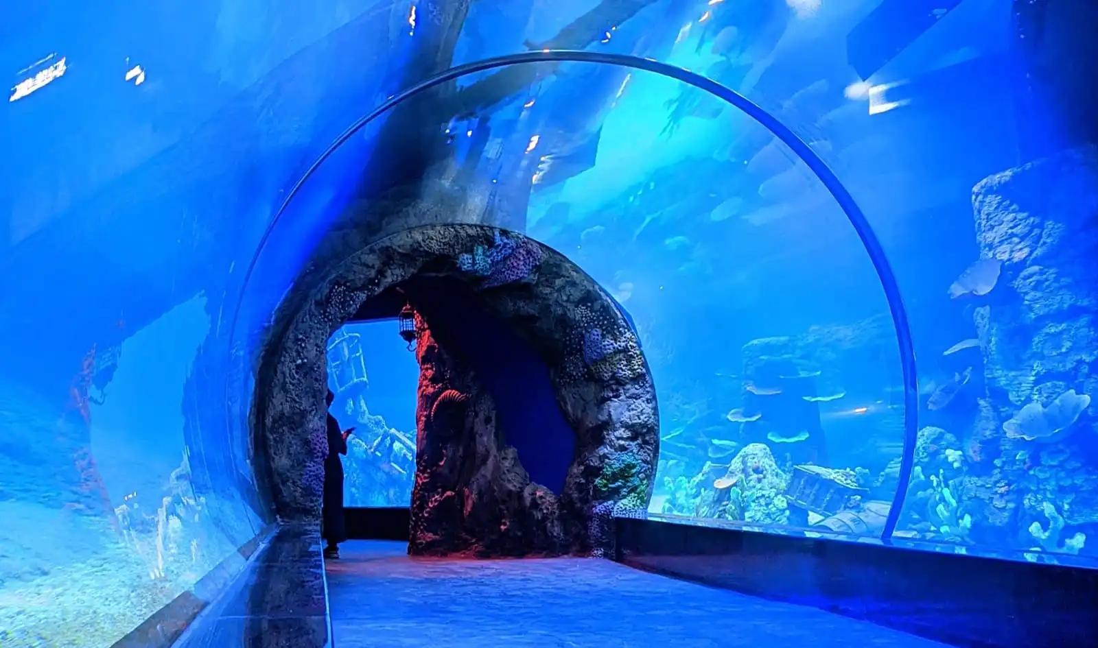 Oceanarium BXSea Tempat Wisata Di Bintaro Yang Dekat Rukita 